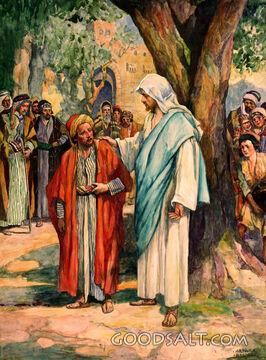 Providence Collection Images - GoodSalt