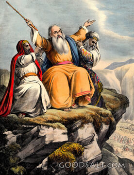 S. M. Davis Images - GoodSalt